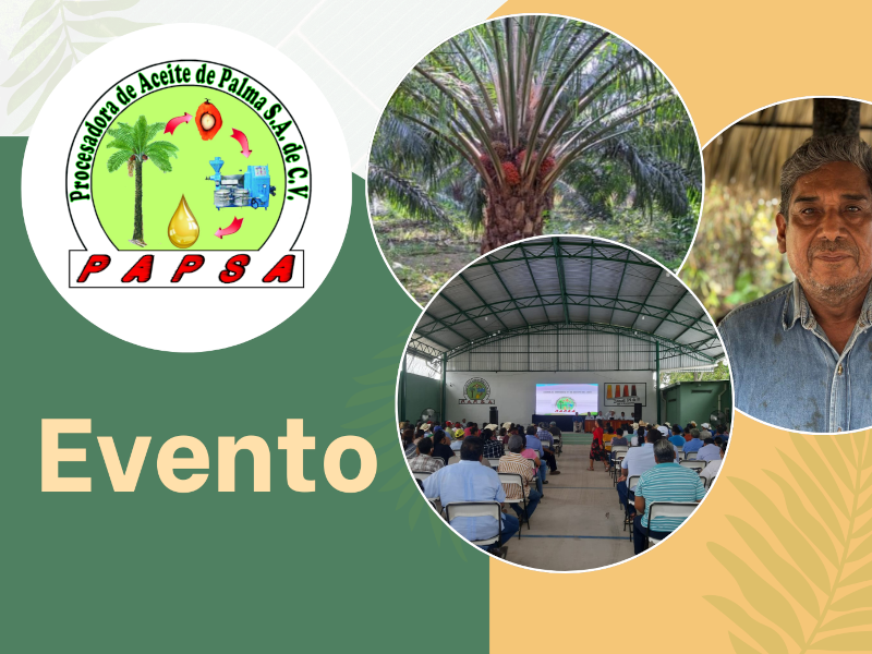 PAPSA – Procesadora de Aceite de Palma S.A. de C.V.