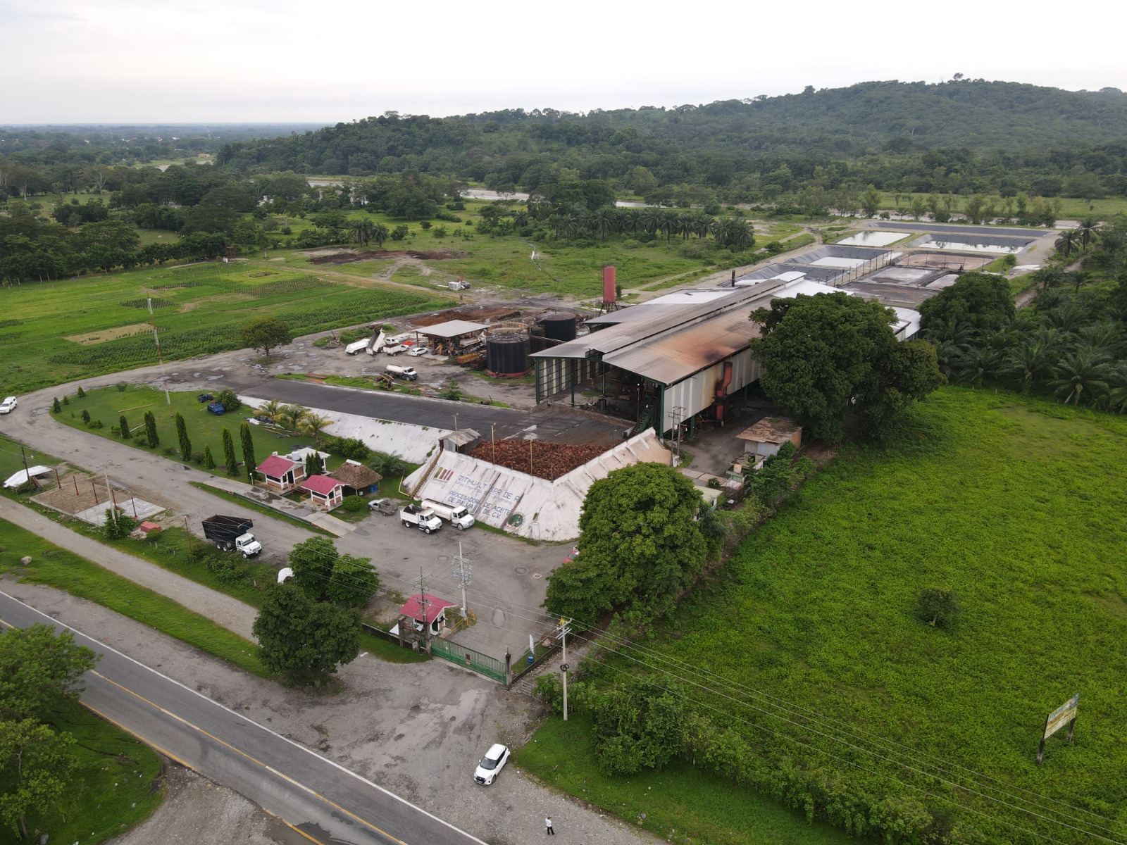 PAPSA – Procesadora de Aceite de Palma S.A. de C.V.